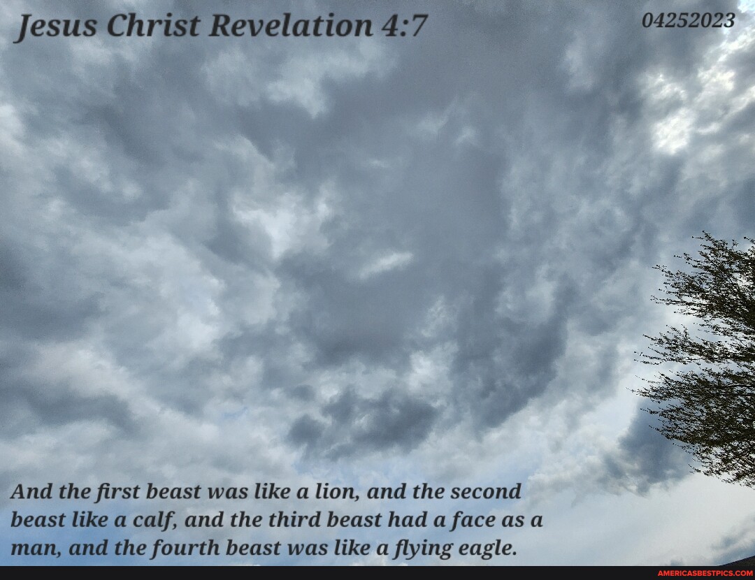 Jesus Christ Revelation And the first beast was like a lion, and the ...