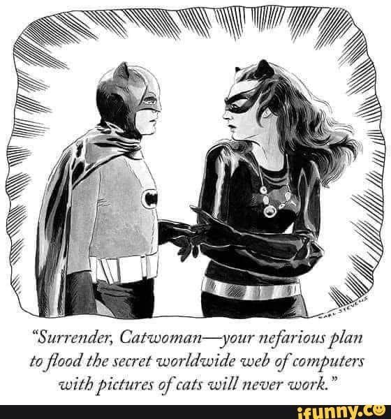 Stolen memes for you - "Surrender, Catwoman-your nefarious plan to ...