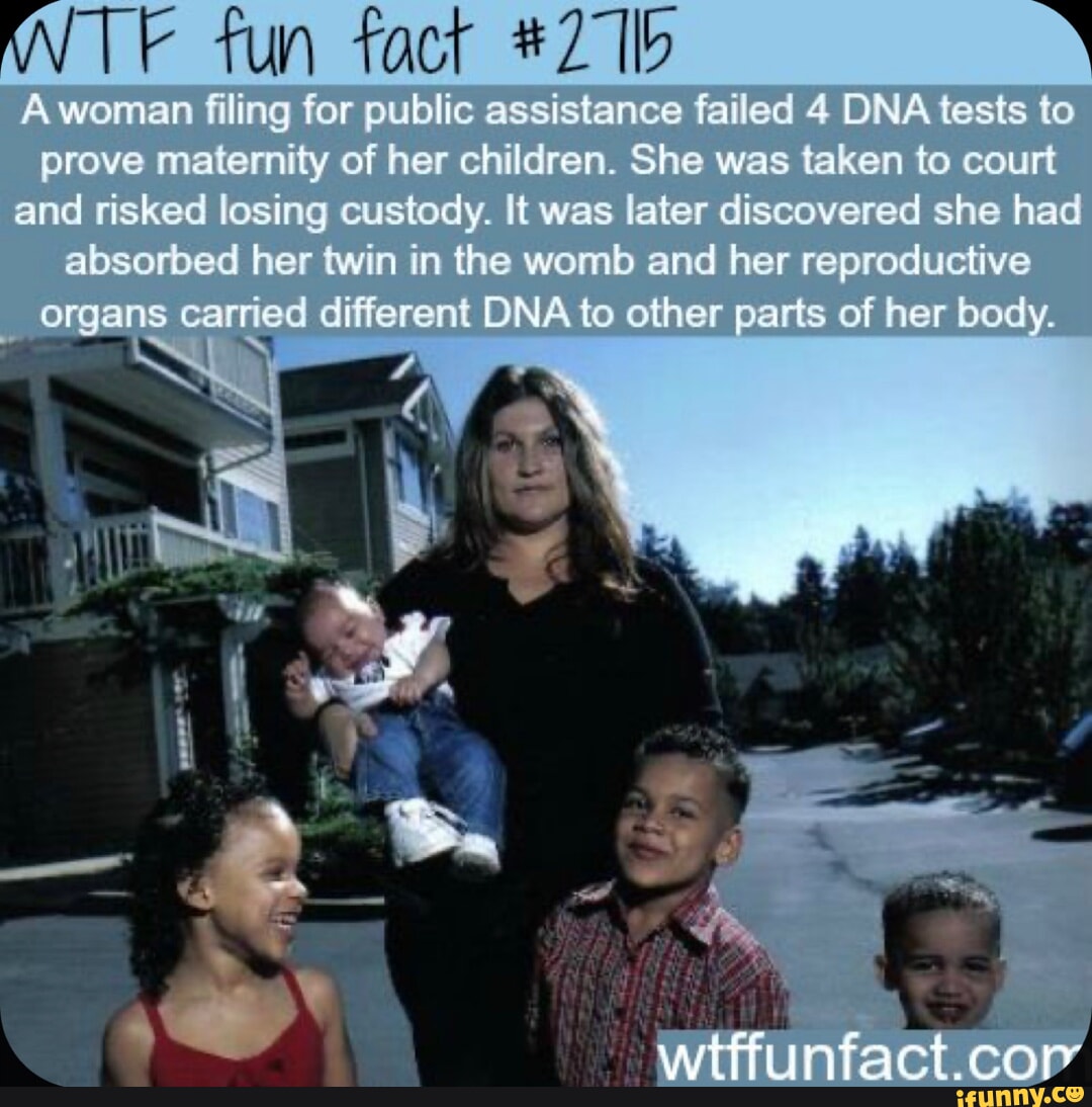 Ntf memes. Best Collection of funny Ntf pictures on iFunny