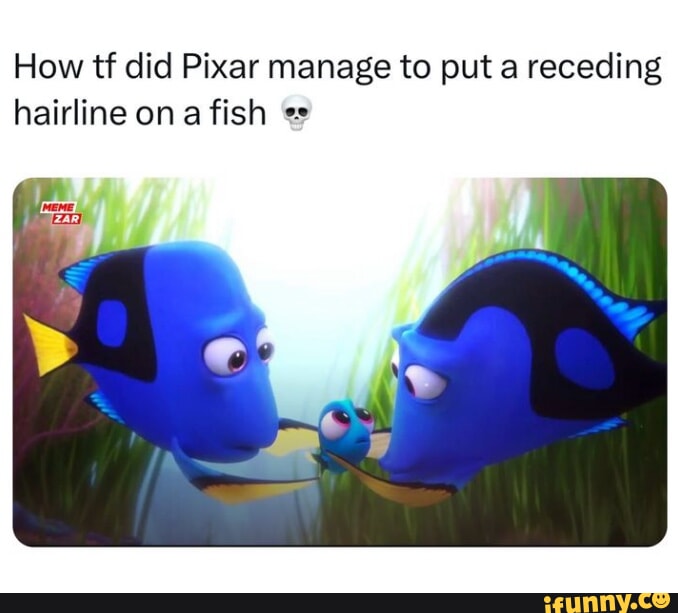 How tf did Pixer manage to put a receding hairline on a fish - iFunny