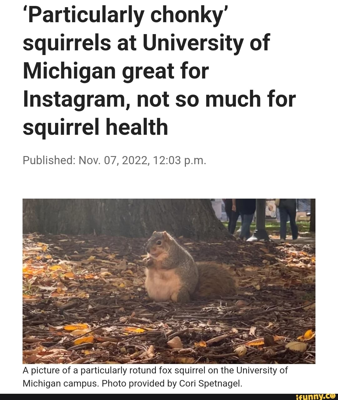 Spetnagel memes. Best Collection of funny Spetnagel pictures on iFunny