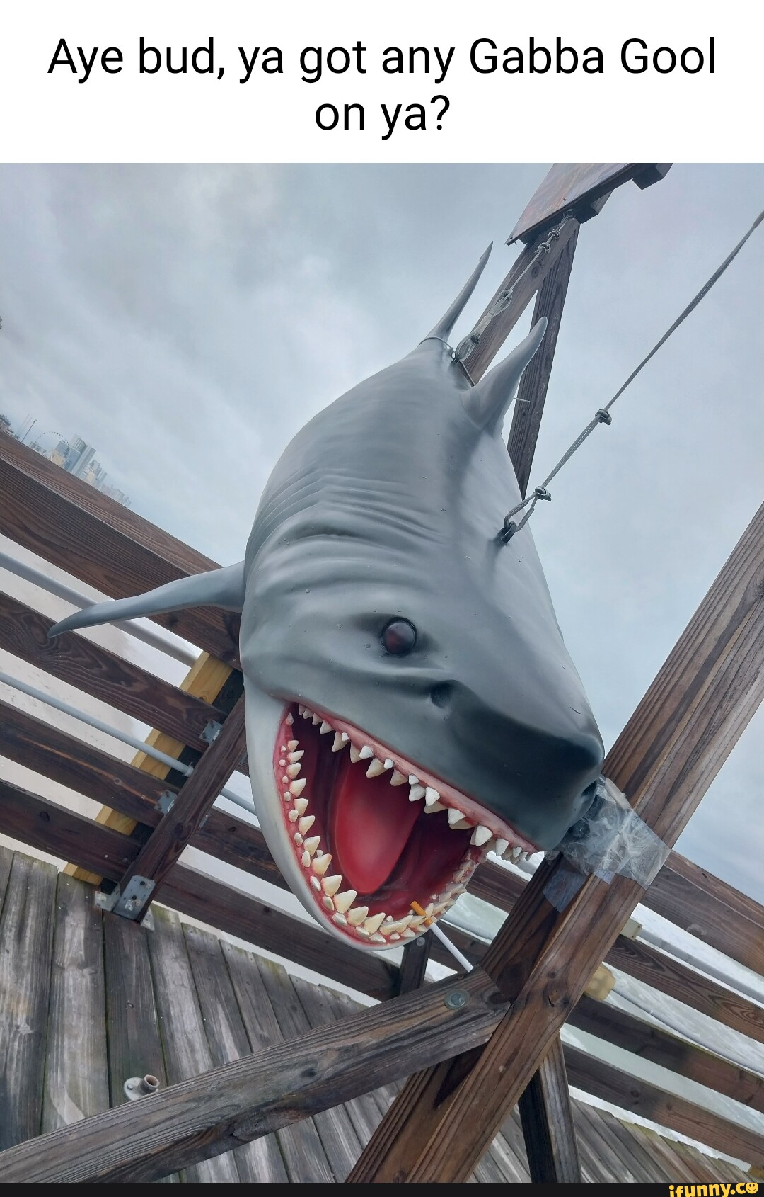 Gabba memes. Best Collection of funny Gabba pictures on iFunny