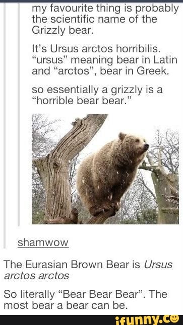 Horribilis memes. Best Collection of funny Horribilis pictures on iFunny