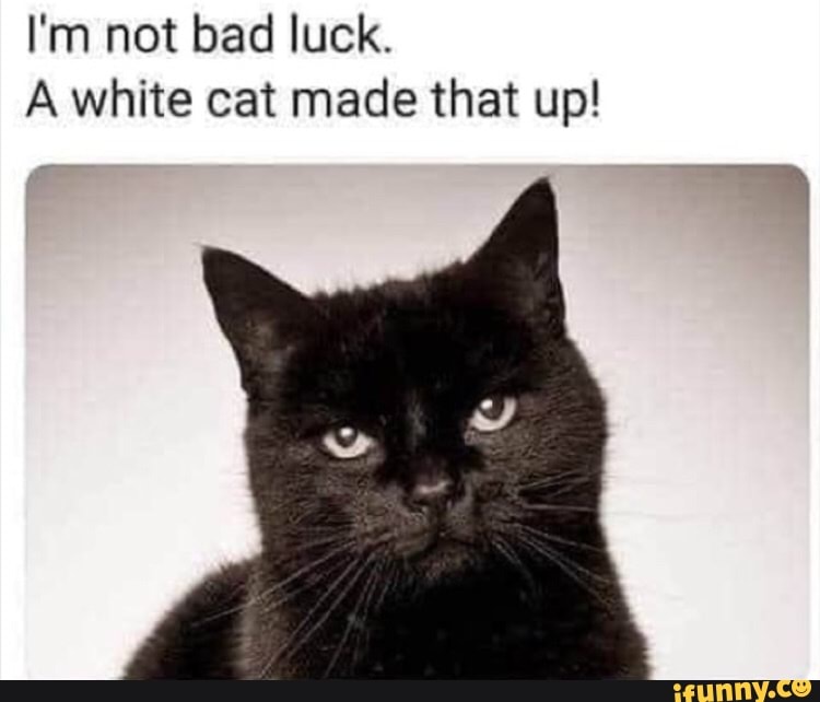 I'm not bad luck. A white cat made that up! - iFunny