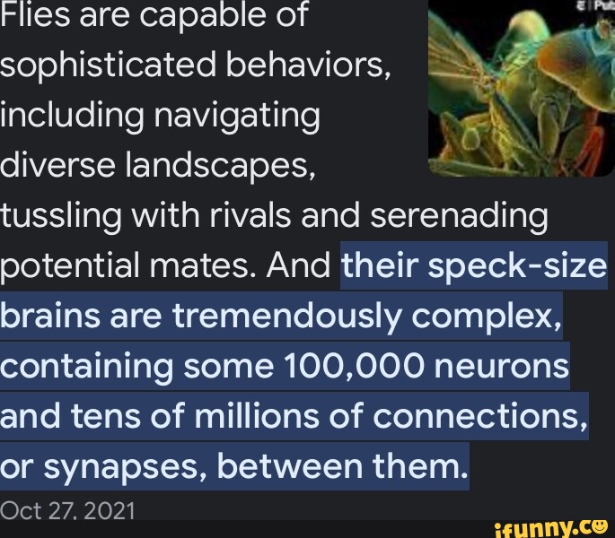 Neurons memes. Best Collection of funny Neurons pictures on iFunny