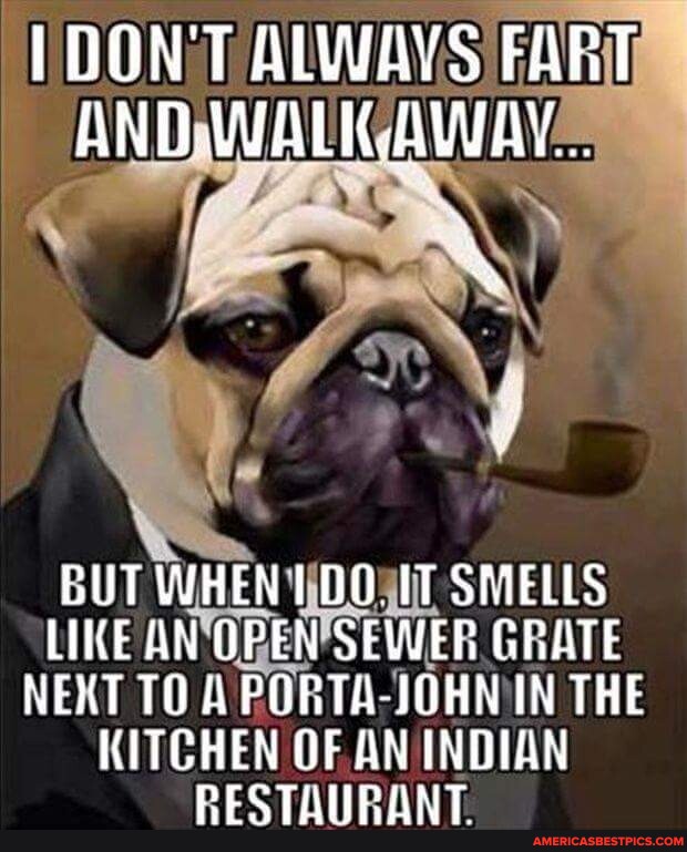 I DON'T ALWAYS FART ANDAWALIGAWAY... BUT WHEN DO. IIT SMELLS LIKE AN ...