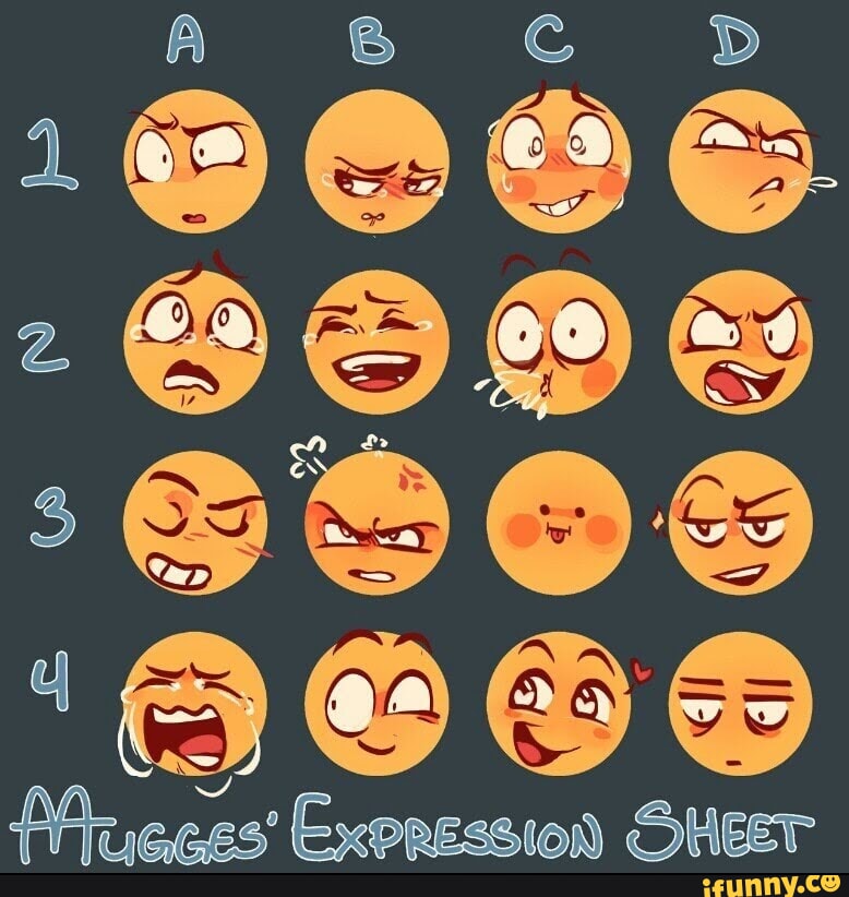 The first taxidermy walrus was much larger and smoother than a live ...