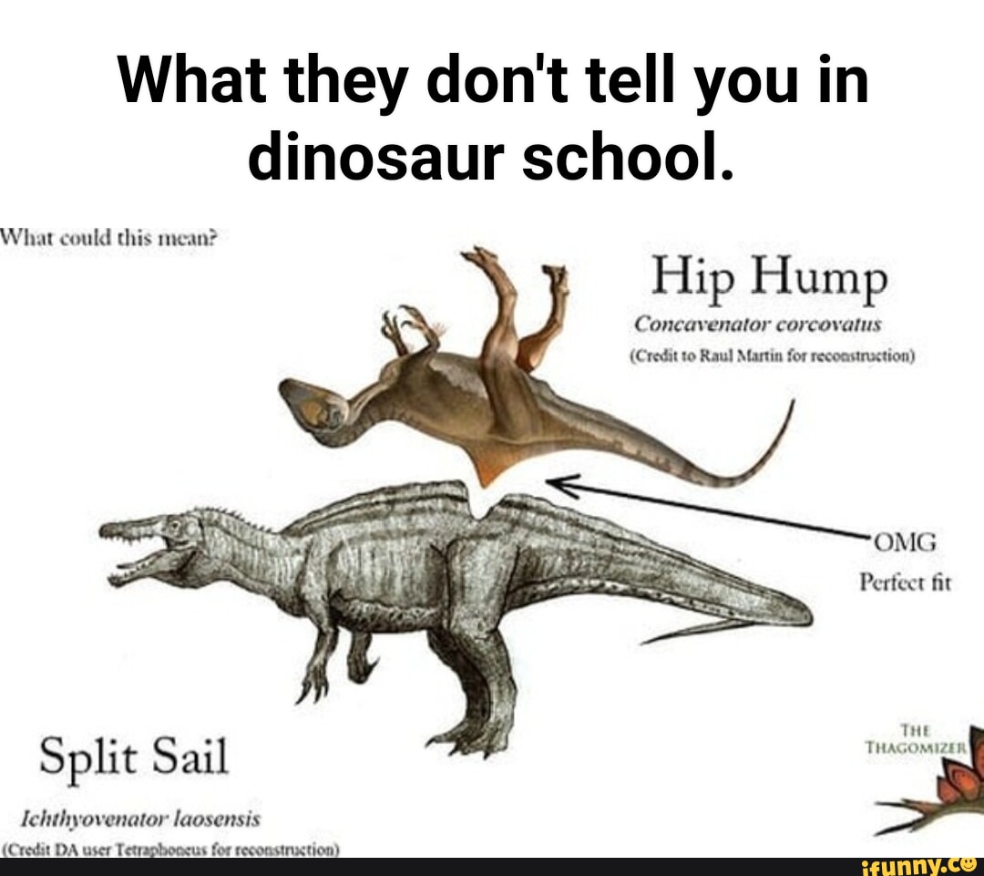 Concavenator memes. Best Collection of funny Concavenator pictures on ...