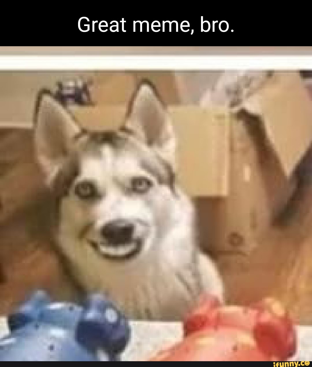 Great meme, bro. - iFunny