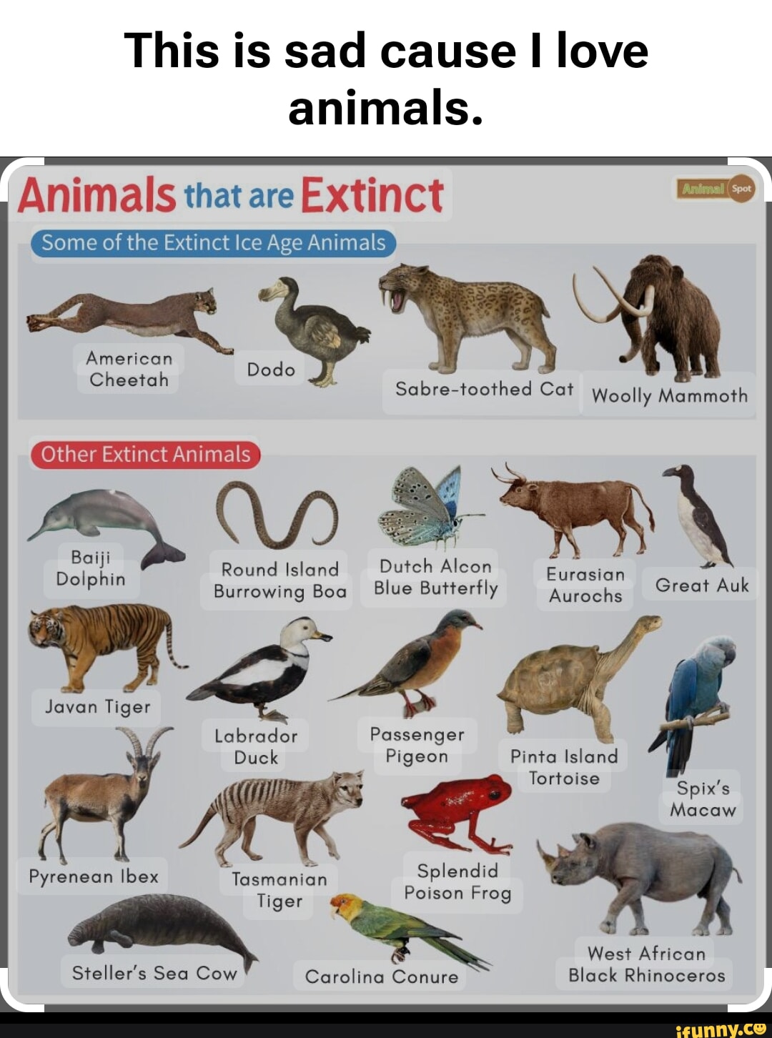 This is sad cause I love animals. Animals that are Extinct Some Some ...