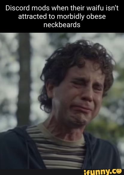 Discord mods when their waifu isn't attracted to morbidly obese ...