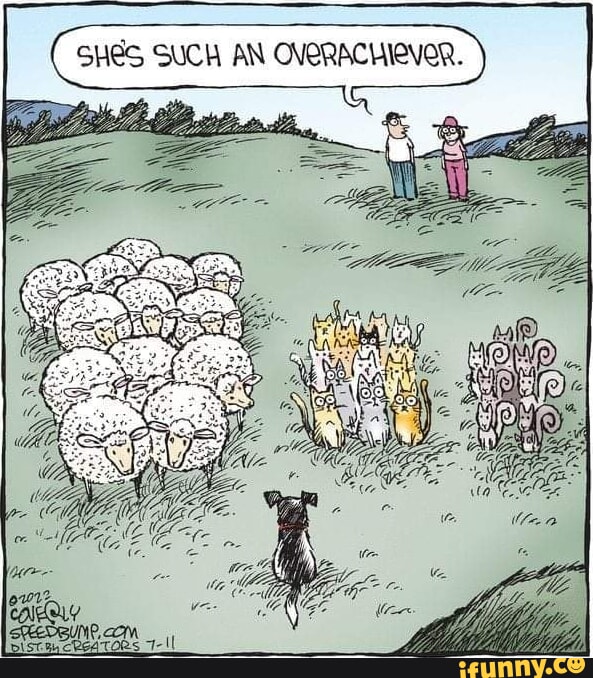 Overachiever memes. Best Collection of funny Overachiever pictures on ...