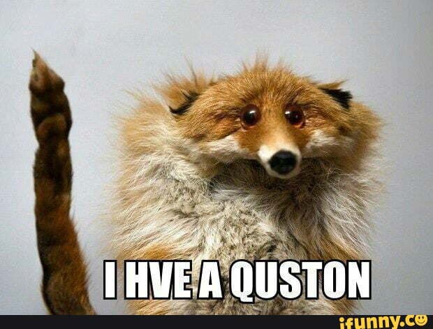 Stoned_fox memes. Best Collection of funny Stoned_fox pictures on iFunny