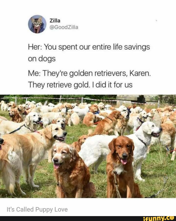 Retrieve memes. Best Collection of funny Retrieve pictures on iFunny