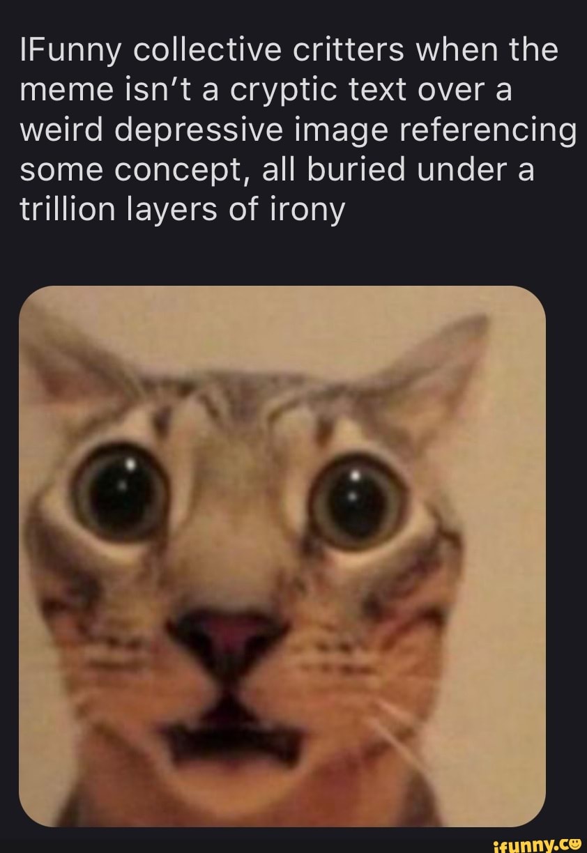 IFunny collective critters when the meme isn't a cryptic text over a ...