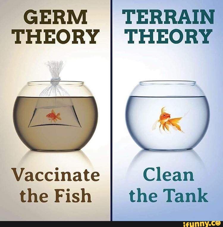 GERM TERRAIN THEORY THEORY Vaccinate Clean the Fish the Tank - iFunny