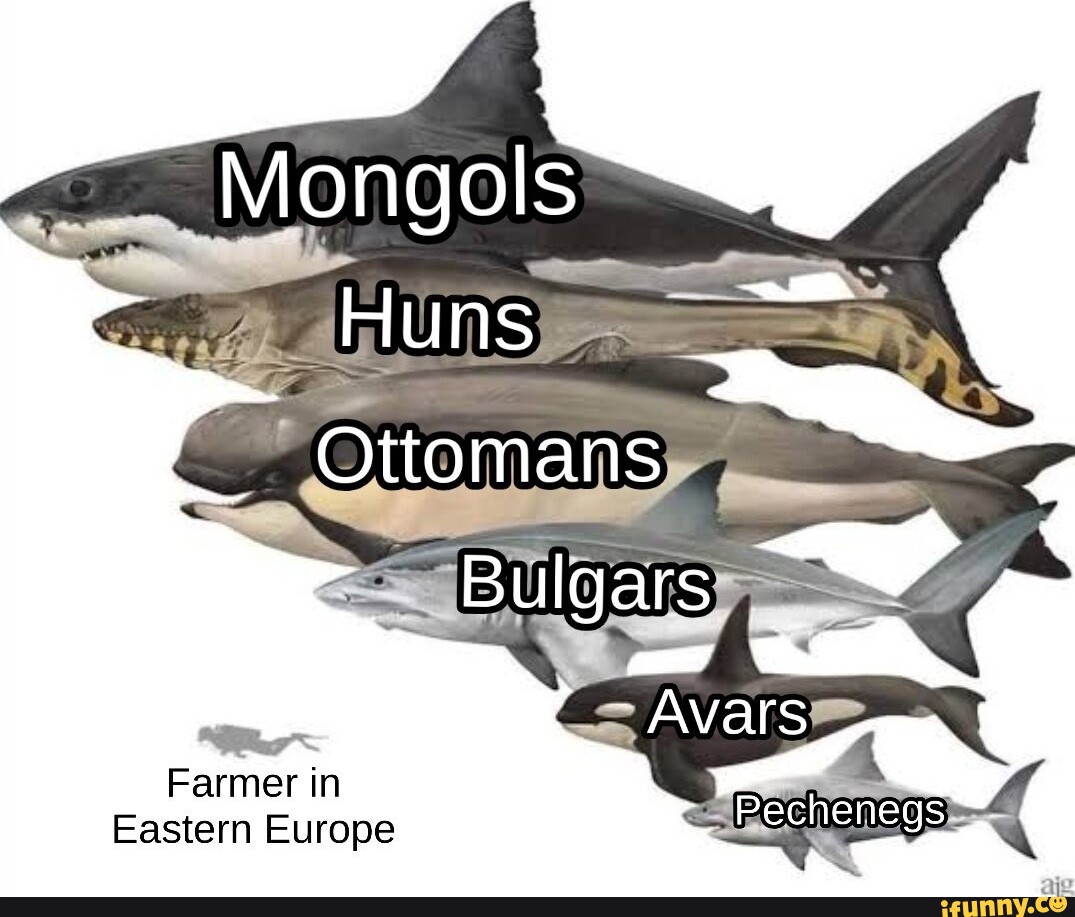 Pechenegs memes. Best Collection of funny Pechenegs pictures on iFunny