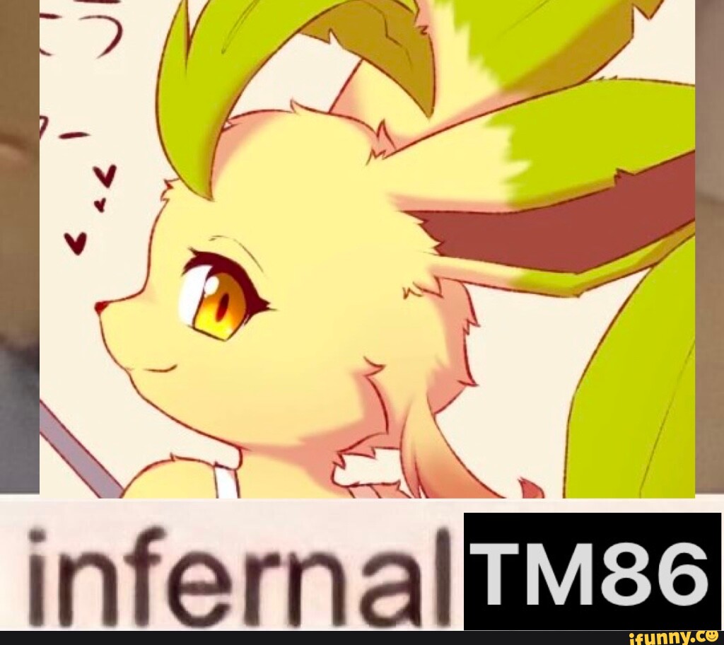 Infernallust memes. Best Collection of funny Infernallust pictures on ...