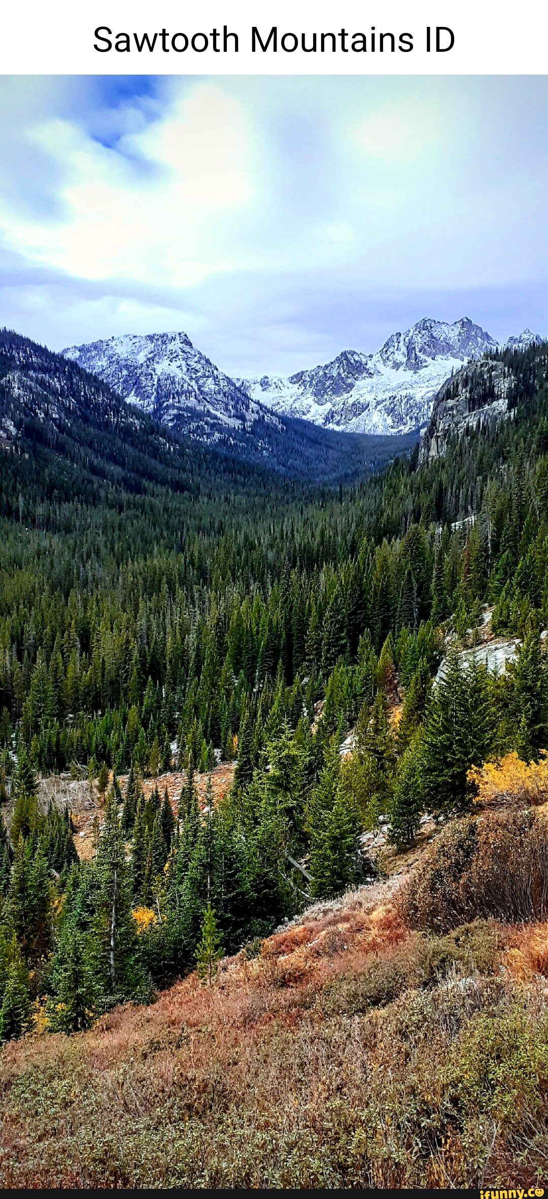 Sawtooth memes. Best Collection of funny Sawtooth pictures on iFunny