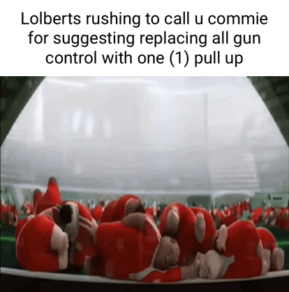 Lolberts rushing to call u commie for suggesting replacing all gun ...