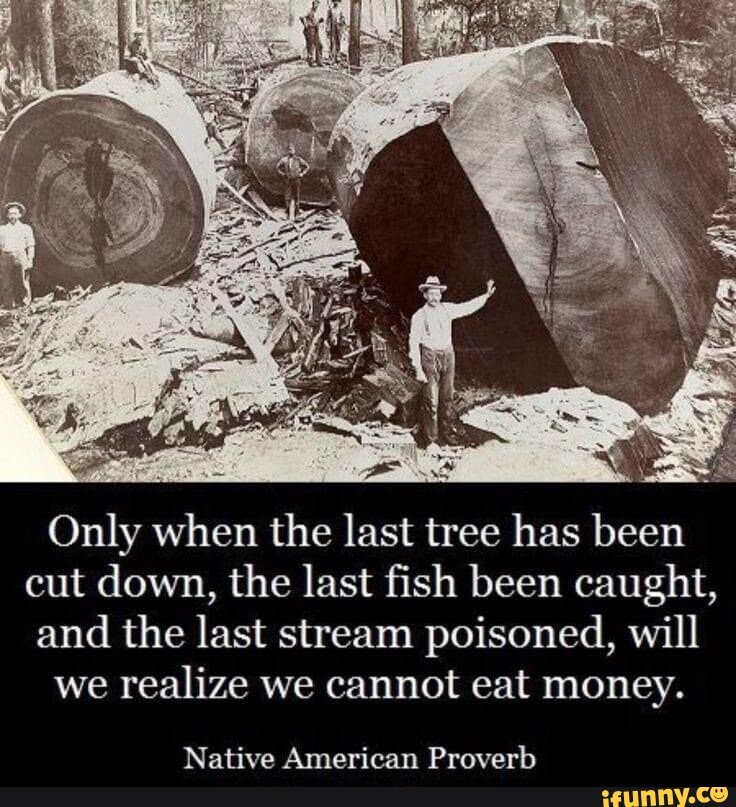 Only when the last tree has been cut down, the last fish been caught ...