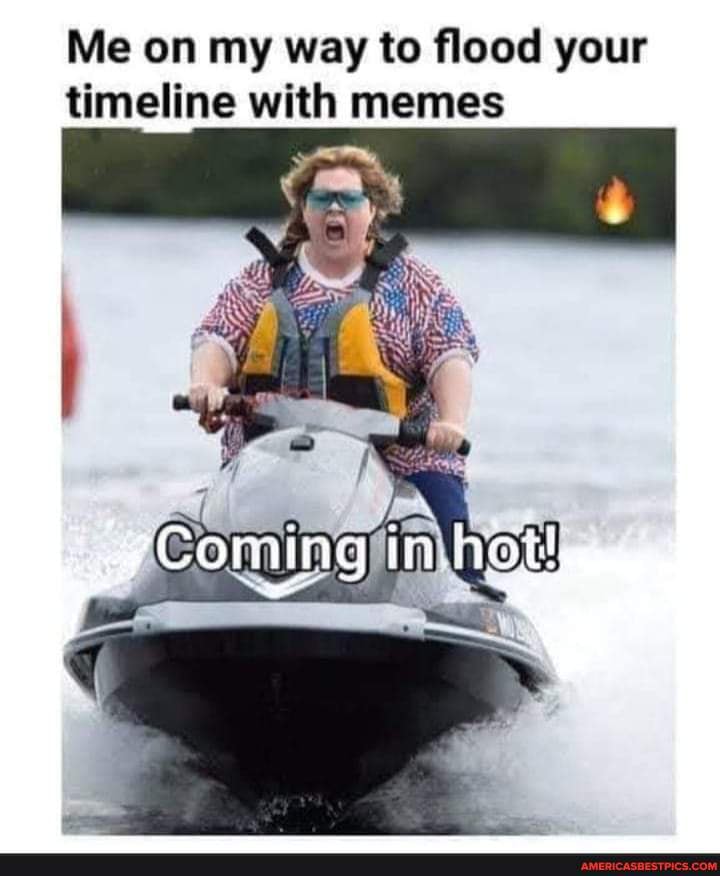 Me on my way to flood your timeline with memes in - America’s best pics ...