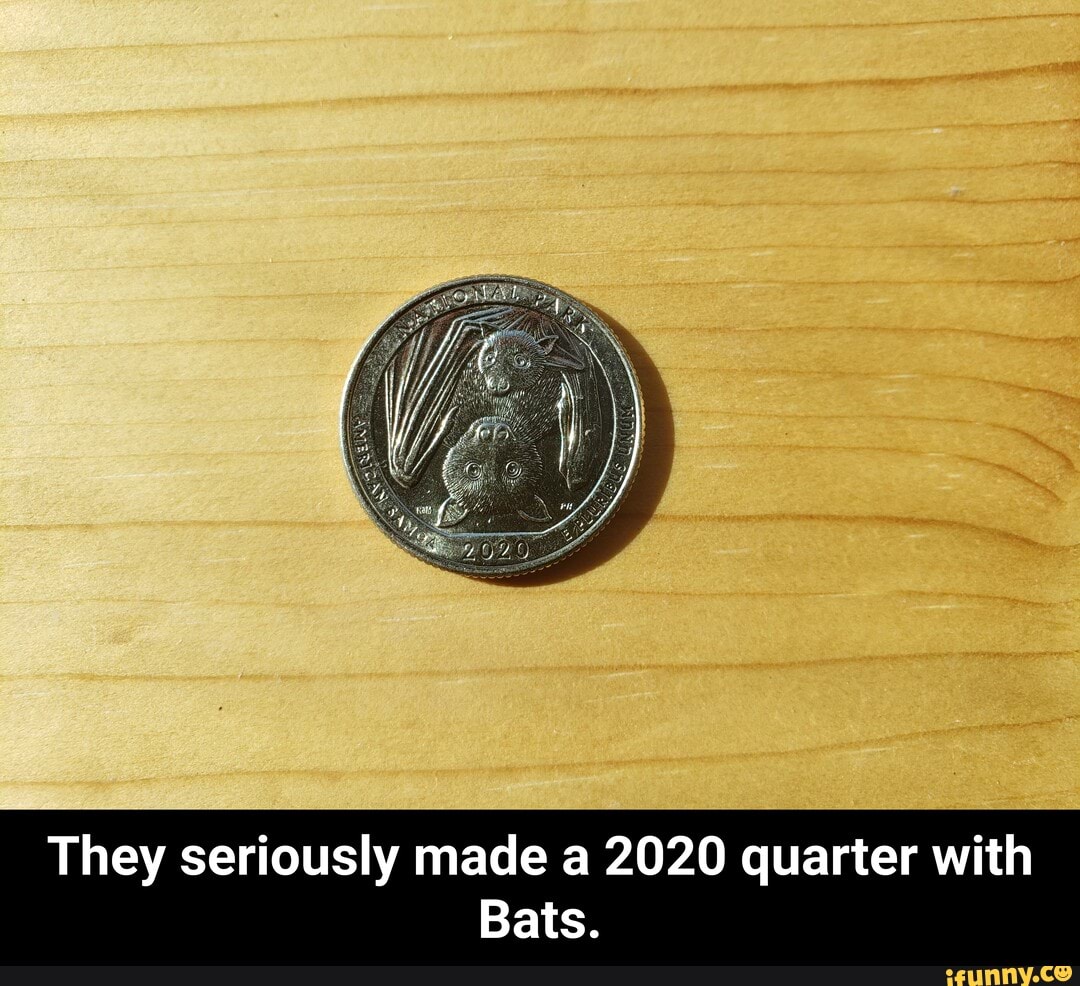 They seriously made a 2020 quarter with Bats. - They seriously made a ...