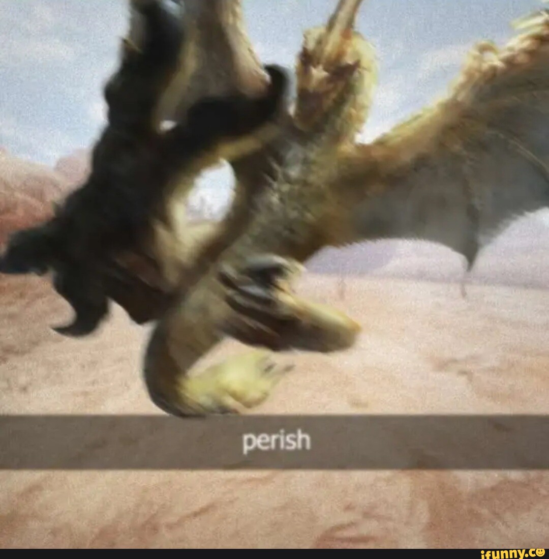 Seregios memes. Best Collection of funny Seregios pictures on iFunny