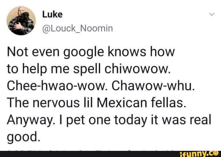 Chiwowow memes. Best Collection of funny Chiwowow pictures on iFunny