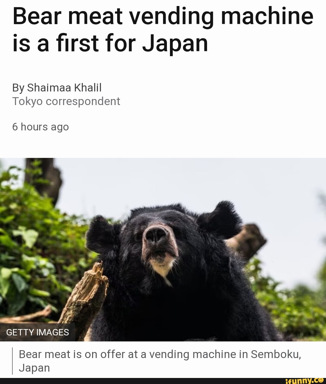 Bear meat vending machine is a first for Japan By Shaimaa Khalil Tokyo ...