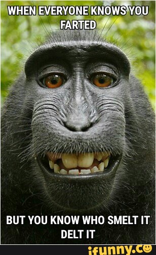 Stinkbutt memes. Best Collection of funny Stinkbutt pictures on iFunny