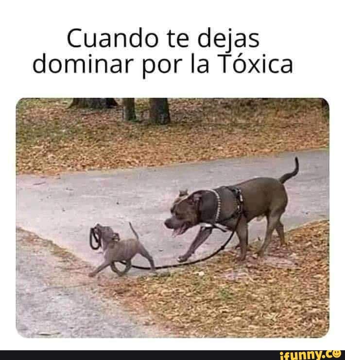 Dominar memes. Best Collection of funny Dominar pictures on iFunny