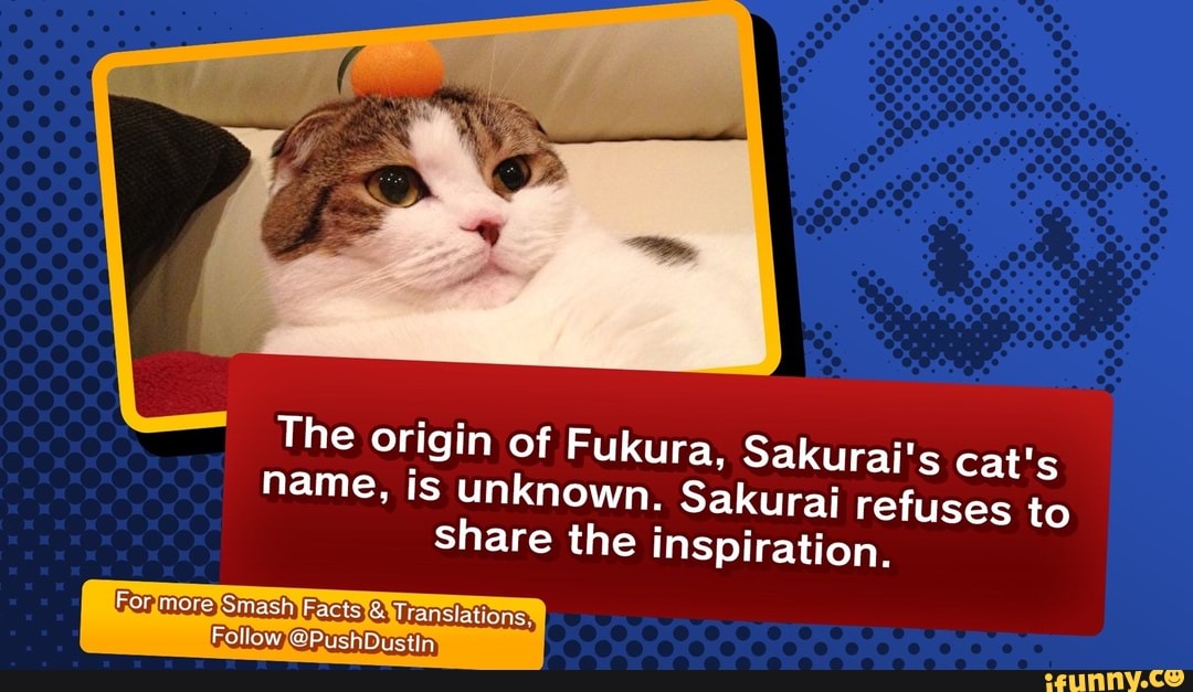 The origin of Fukura, Sakurai's Cat's name, is unknown. Sakurai refuses ...