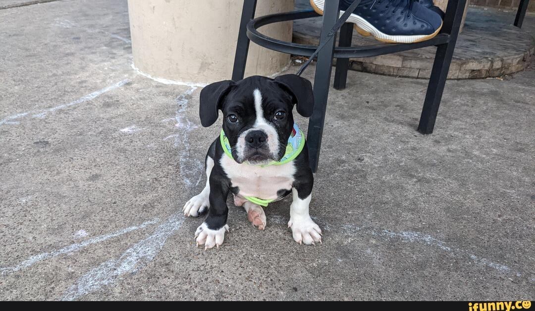 Abbath memes. Best Collection of funny Abbath pictures on iFunny