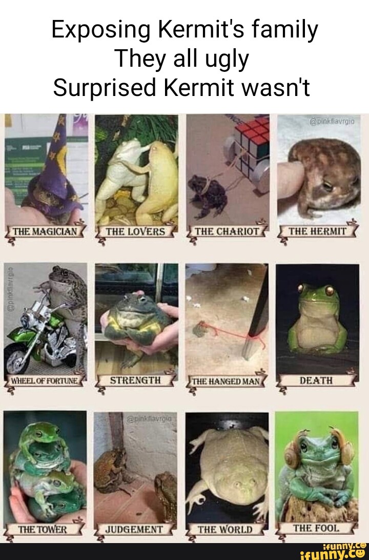 Exposing Kermit's family They all ugly Surprised Kermit wasn't I THE ...