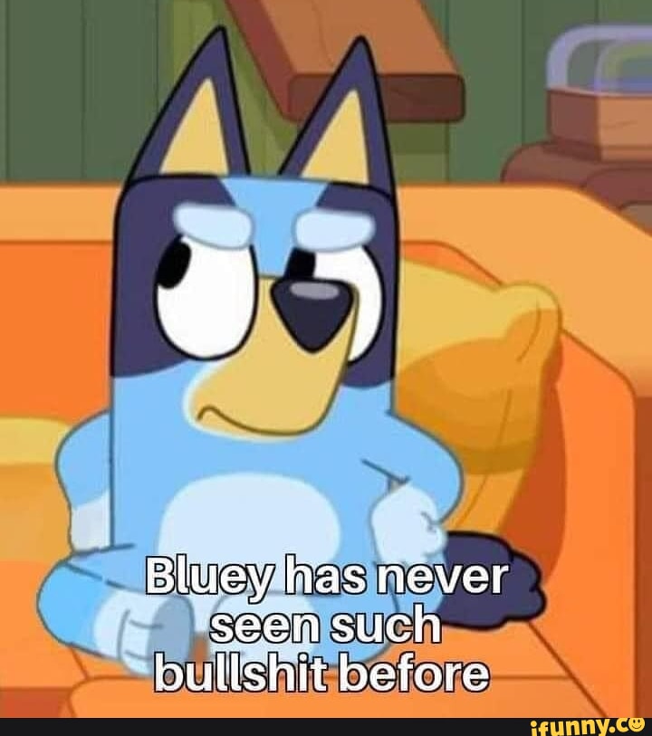 Bluey has never seen such bullshit before - iFunny