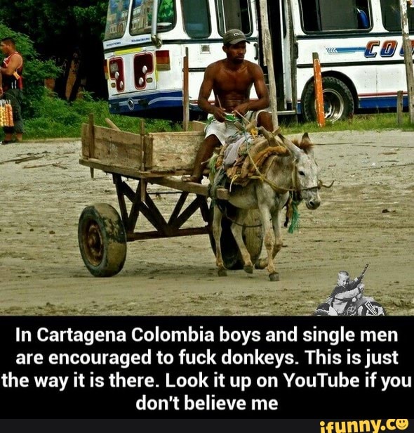Cartagena memes. Best Collection of funny Cartagena pictures on iFunny