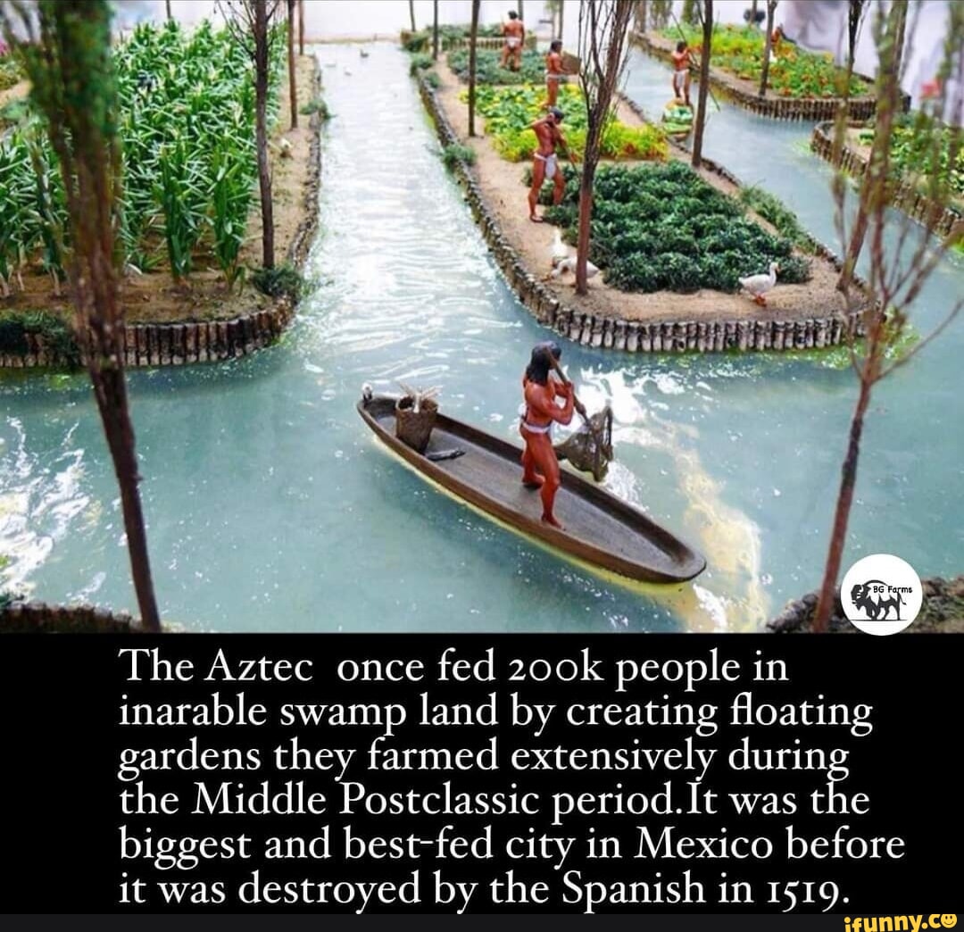 Aztec memes. Best Collection of funny Aztec pictures on iFunny