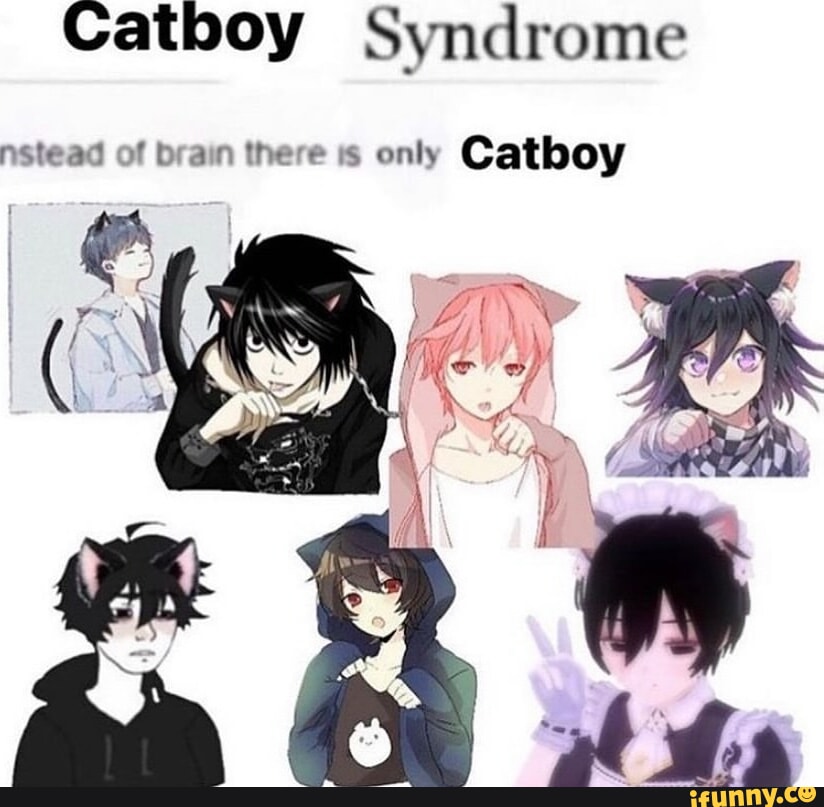 Catboy Syndrome nstead of brain there is only Catboy - iFunny