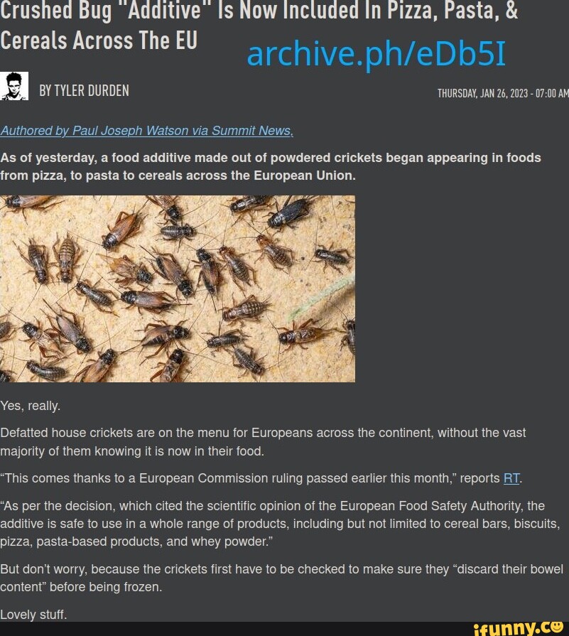 Crushed Bug Additive Is Now Included In Pizza, Pasta, & Cereals Across ...