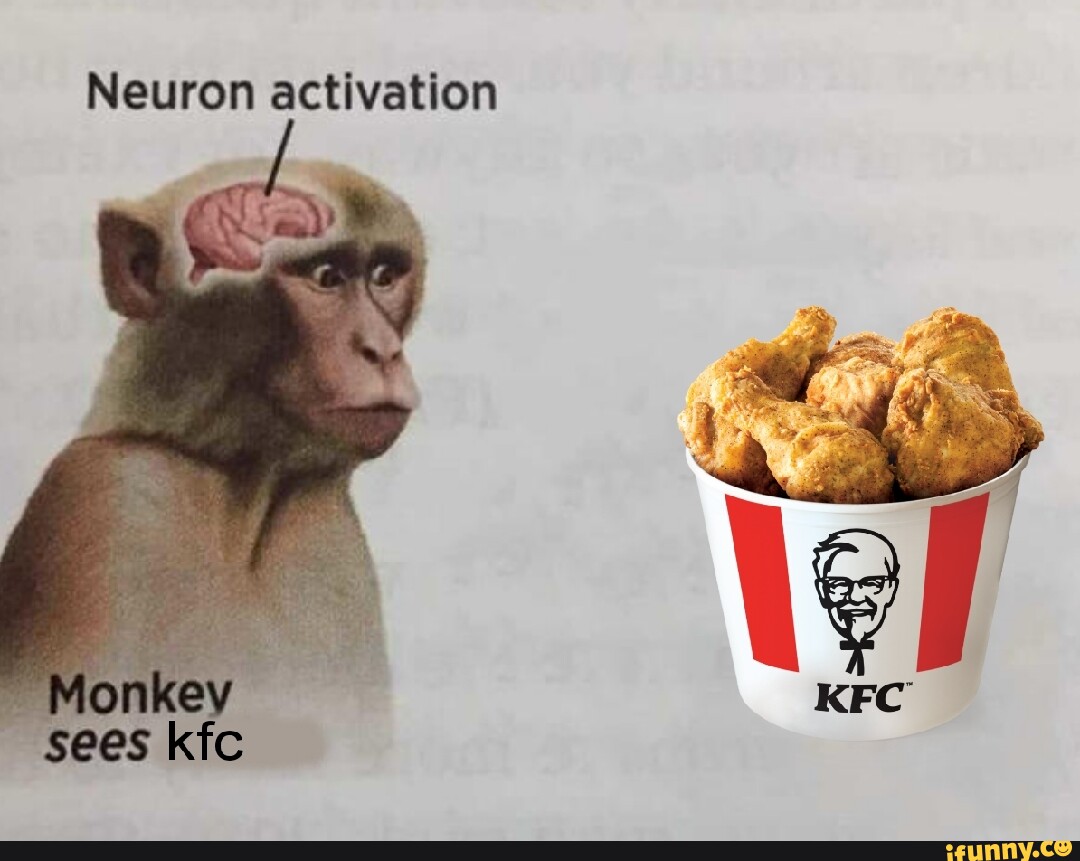 Neuron activation Monkey KFC - iFunny