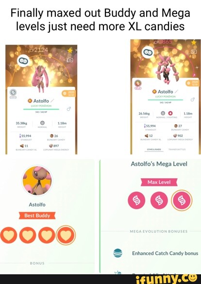 Astolfos memes. Best Collection of funny Astolfos pictures on iFunny