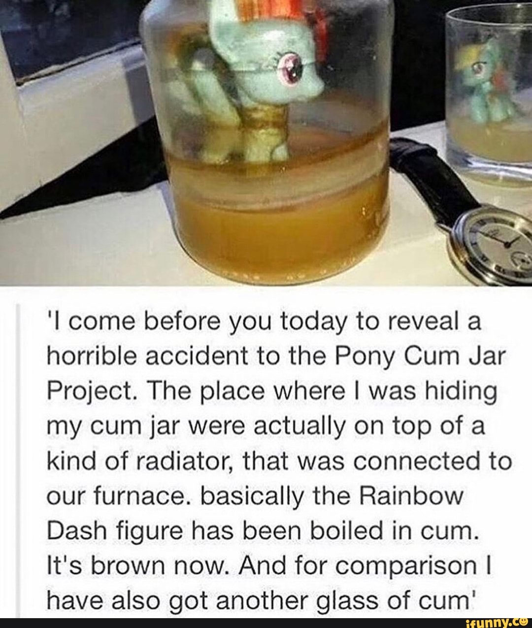 'I come before you today to reveal a horrible accident to the Pony Cum ...