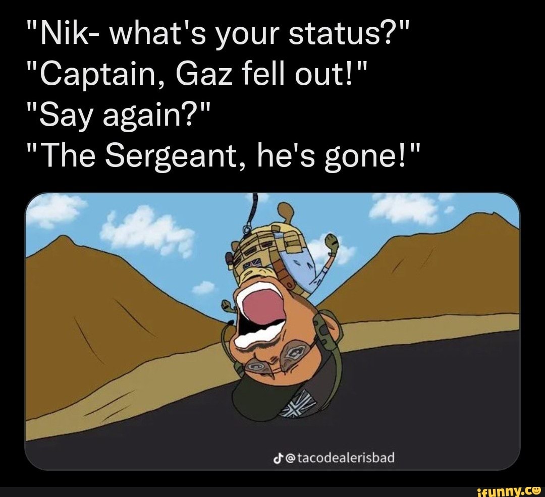 "Nik- what's your status?" "Captain, Gaz fell out!" "Say again?" "The ...