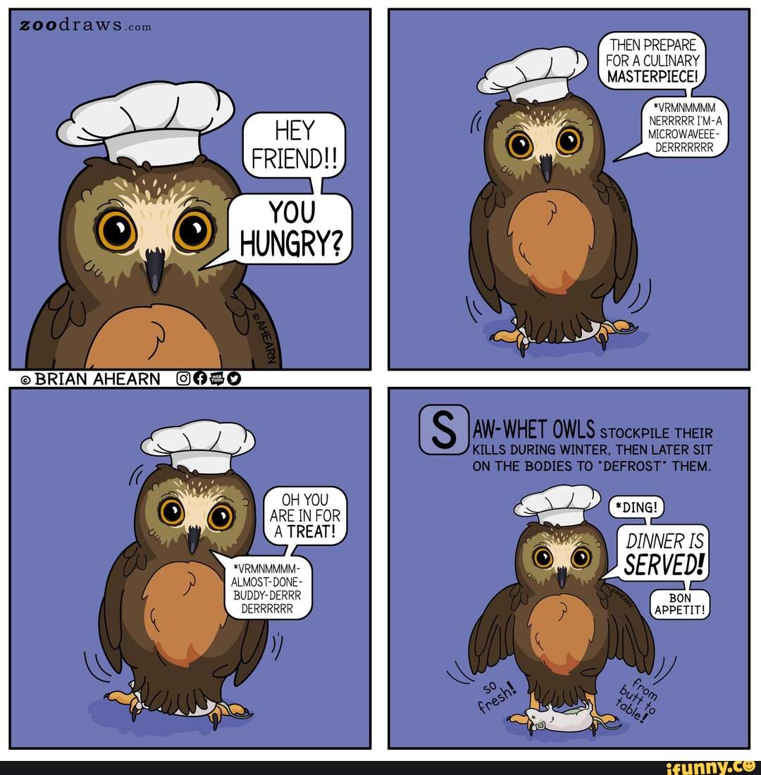 Derrr memes. Best Collection of funny Derrr pictures on iFunny