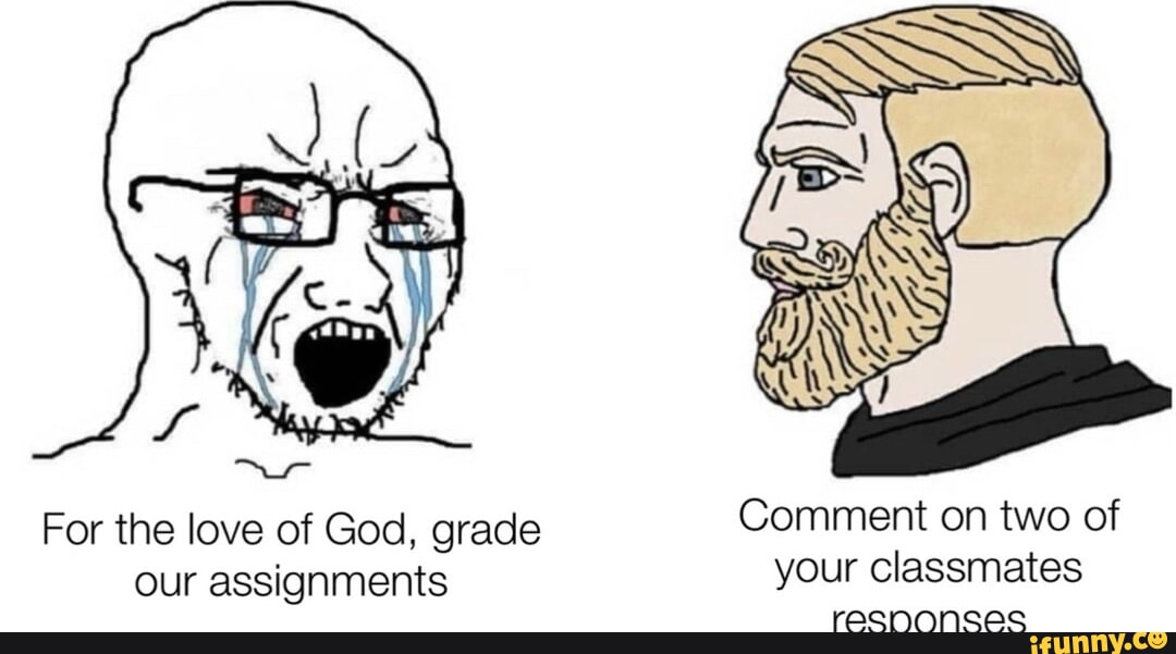 Assignments memes. Best Collection of funny Assignments pictures on iFunny