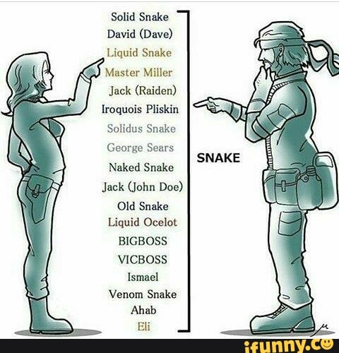 Solid Snake David (Dave) Liquid Snake Master Miller Jack (Raiden ...