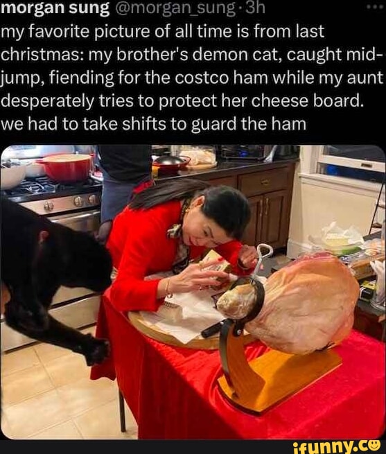 Morgan sung my favorite picture of all time is from last christmas: my ...