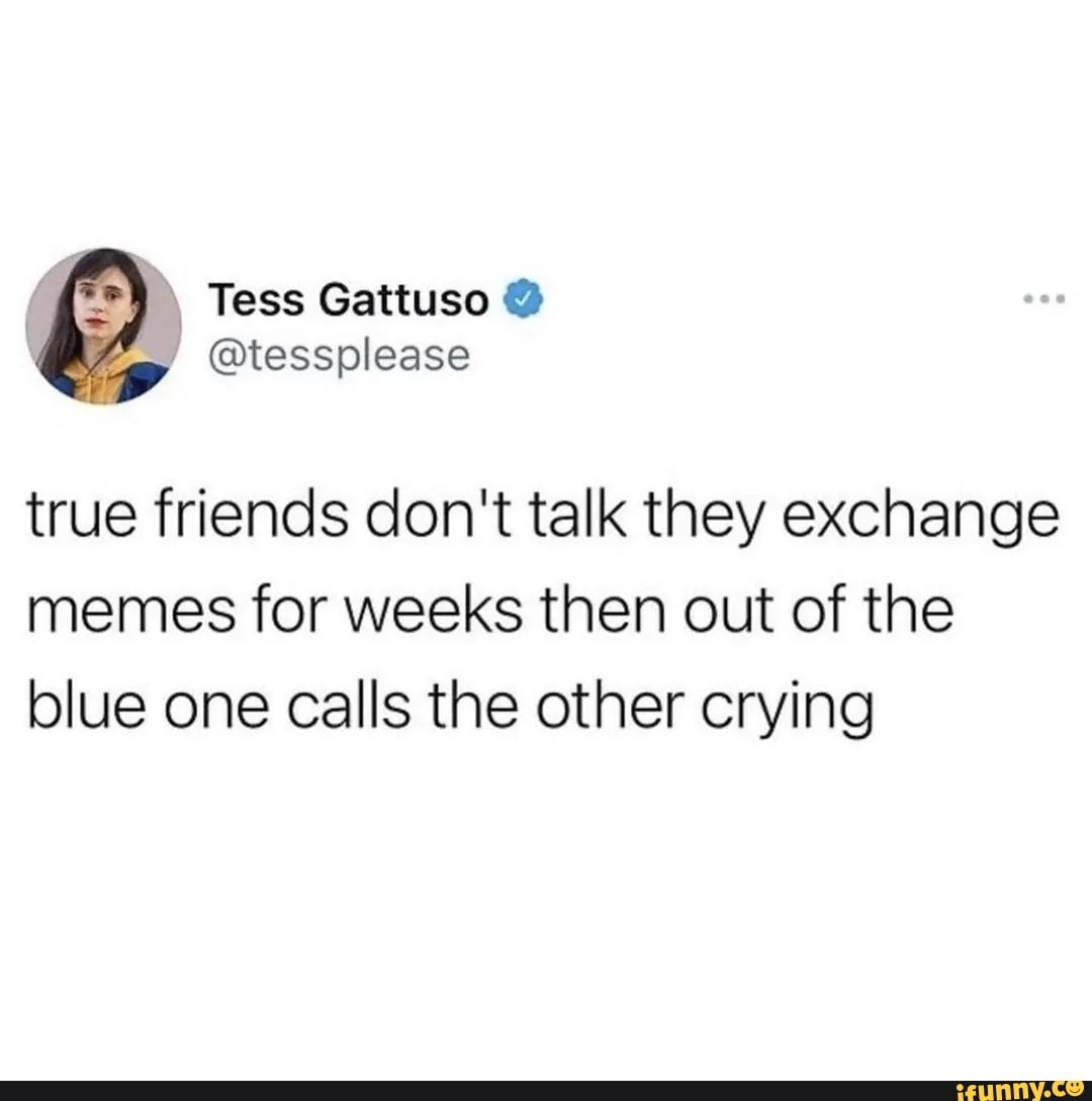 Tess Gattuso true friends don't talk they exchange memes for weeks then ...