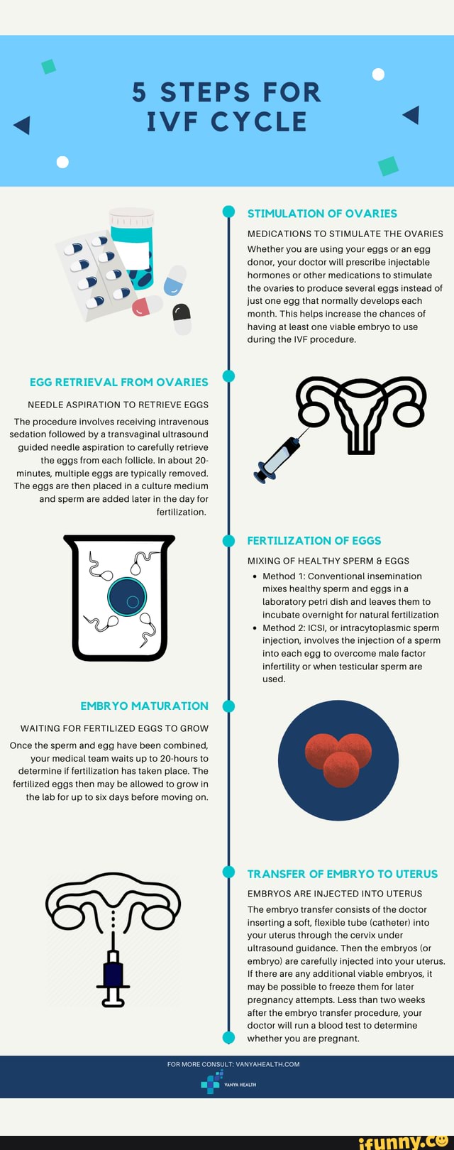 Ovarian stimulation; Egg retrieval; Sperm collection/retrieval ...